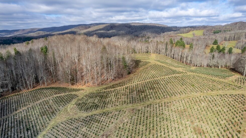 Home & 75 Acres with Stocked Trout Pond in the High Country - Collins ...