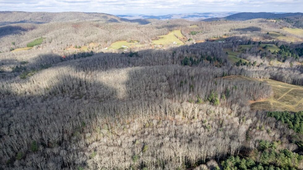 Home & 75 Acres with Stocked Trout Pond in the High Country - Collins ...