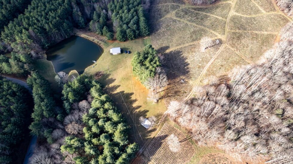 Home & 75 Acres with Stocked Trout Pond in the High Country - Collins ...